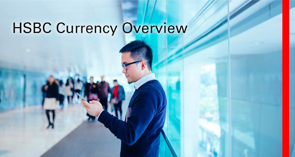 HSBC Currency Overview